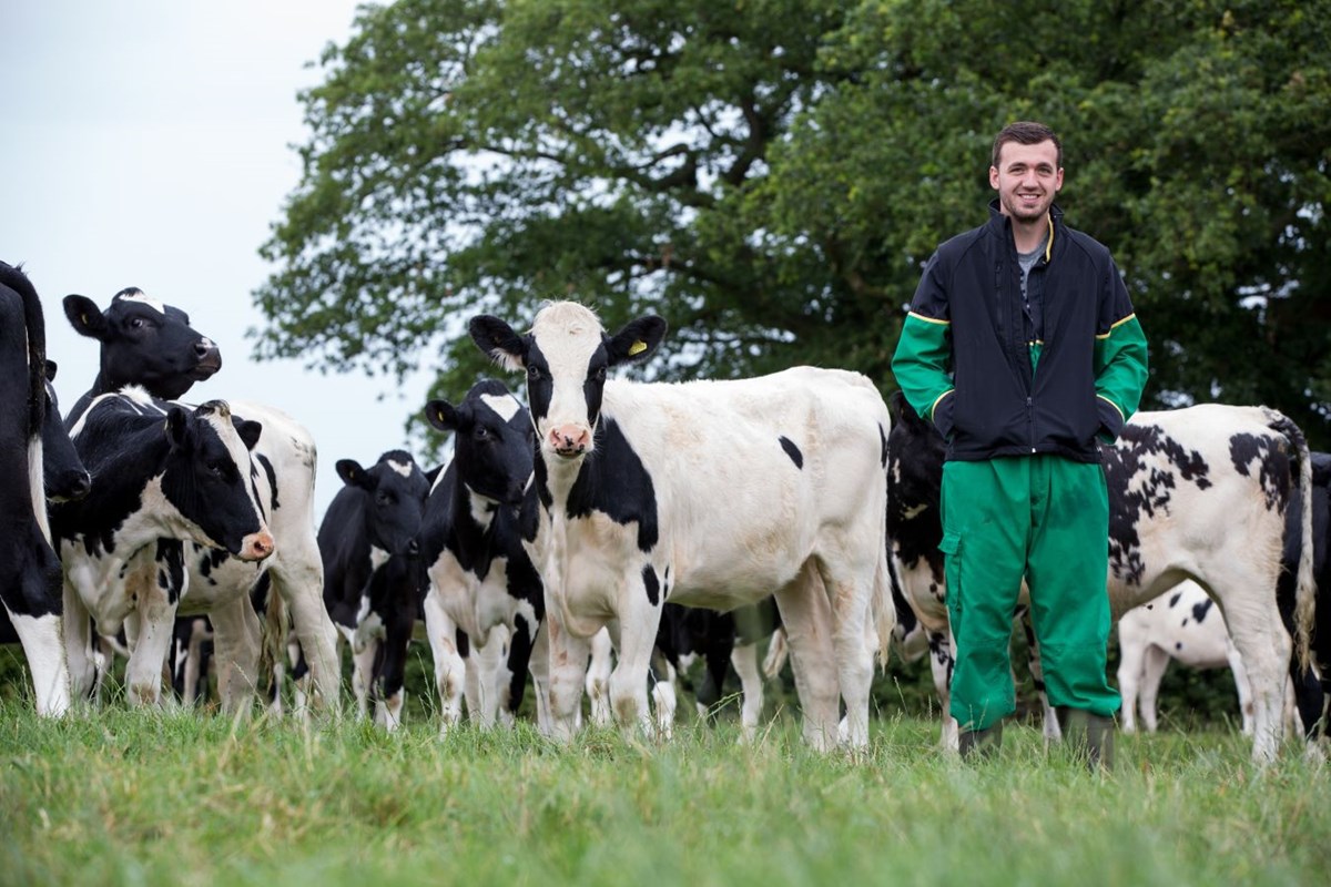 An interview with Chris Vaughan from Top Farm, England | Norwegian Red