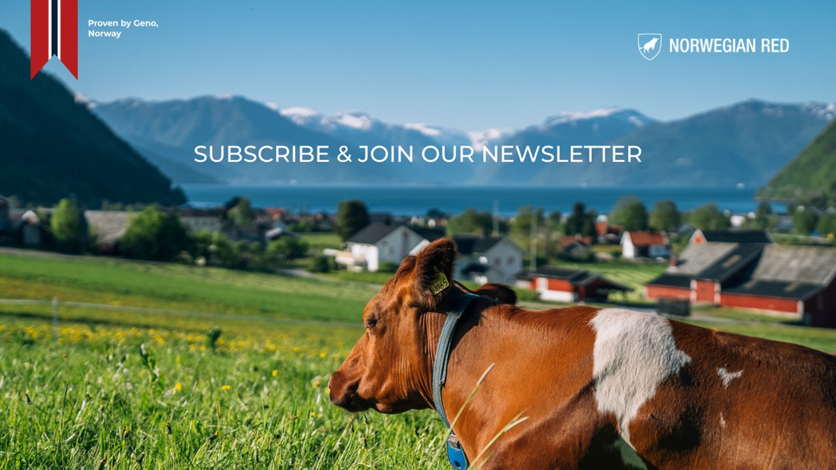 Subscribe to our newsletter | Norwegian Red