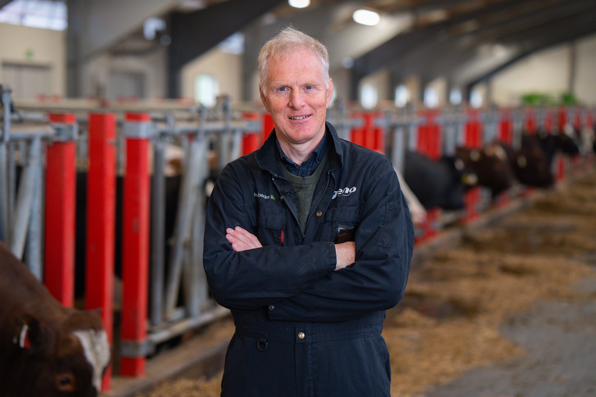 Norwegian Red Reached Remarkable Genetic Milestones in 2024 | Norwegian Red