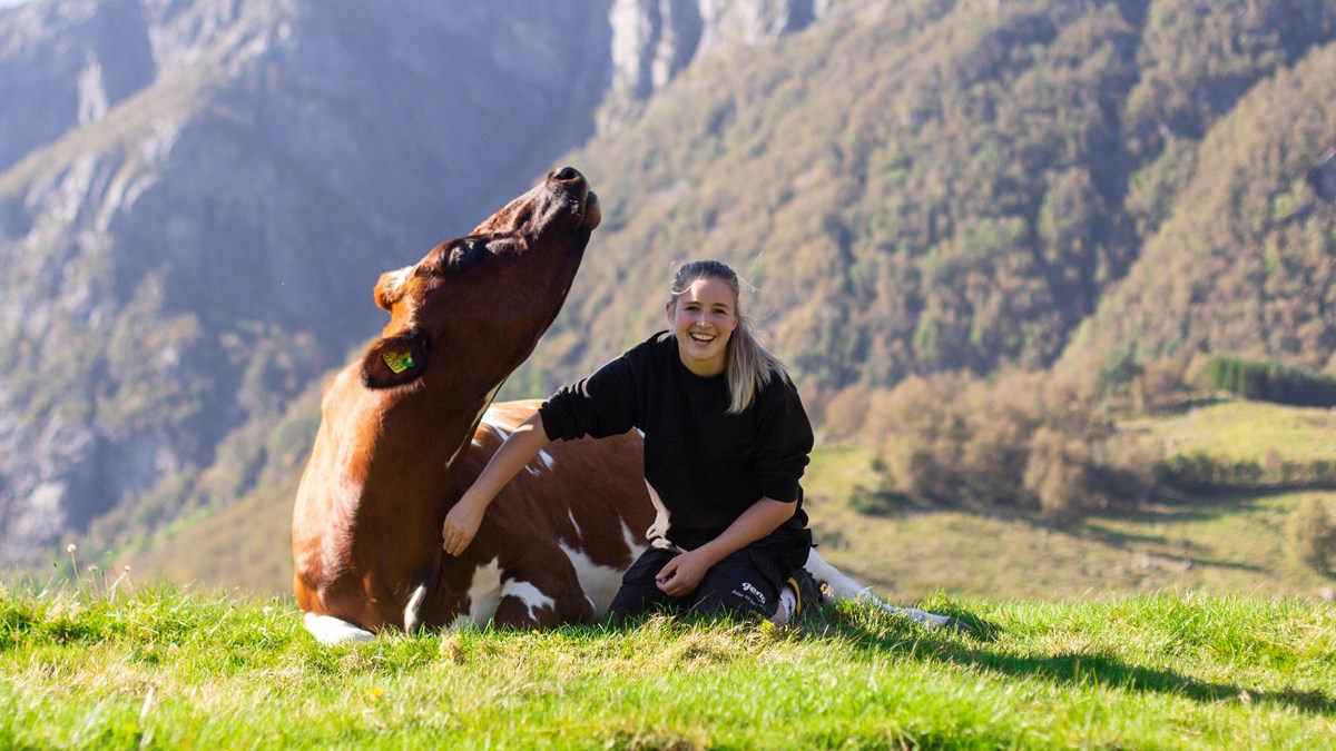 Geno Launches National Campaign Highlighting Young Norwegian Dairy ...