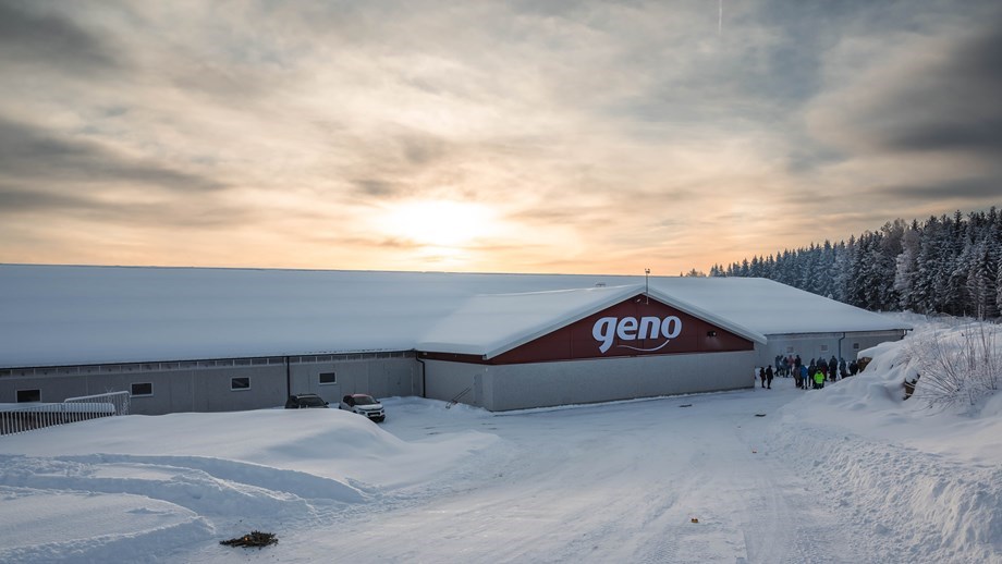 Geno Opens New Bull Station, Store Ree | Norwegian Red