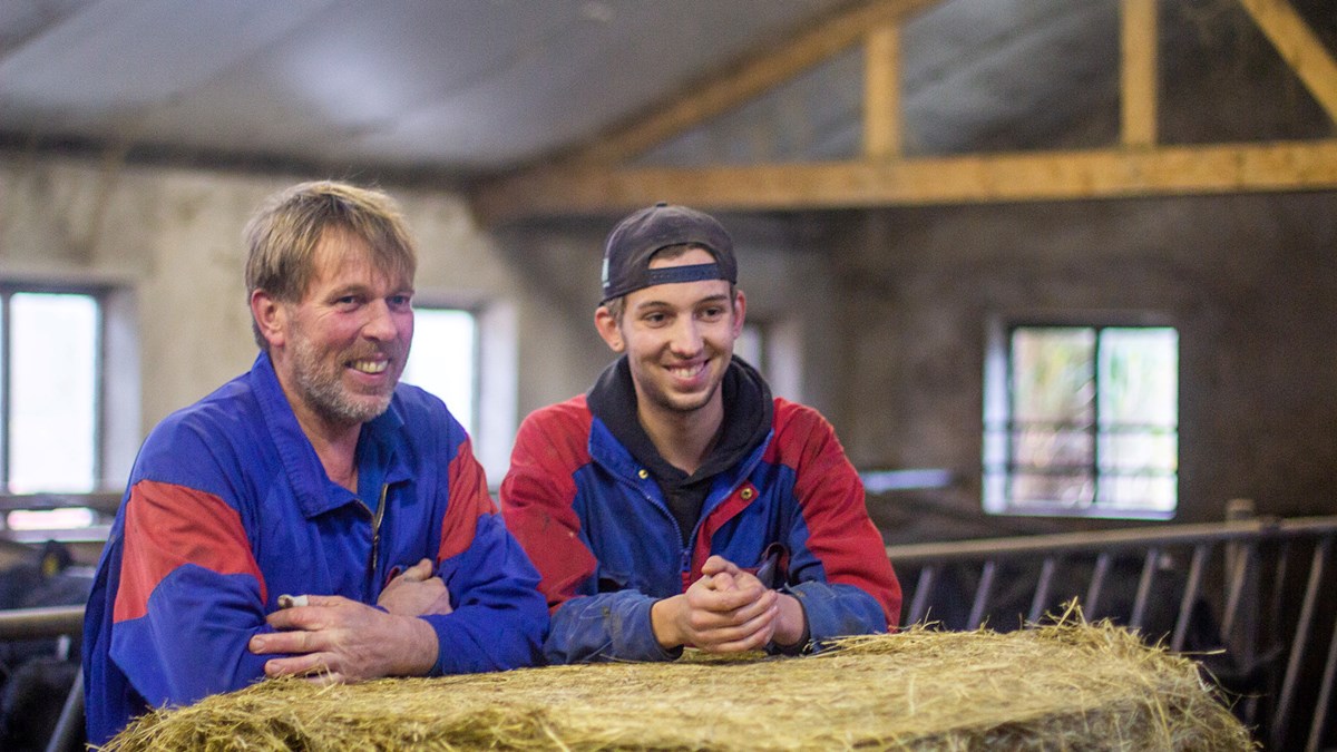 Henk and Rick Nijstad, Drentie, The Netherlands | Norwegian Red