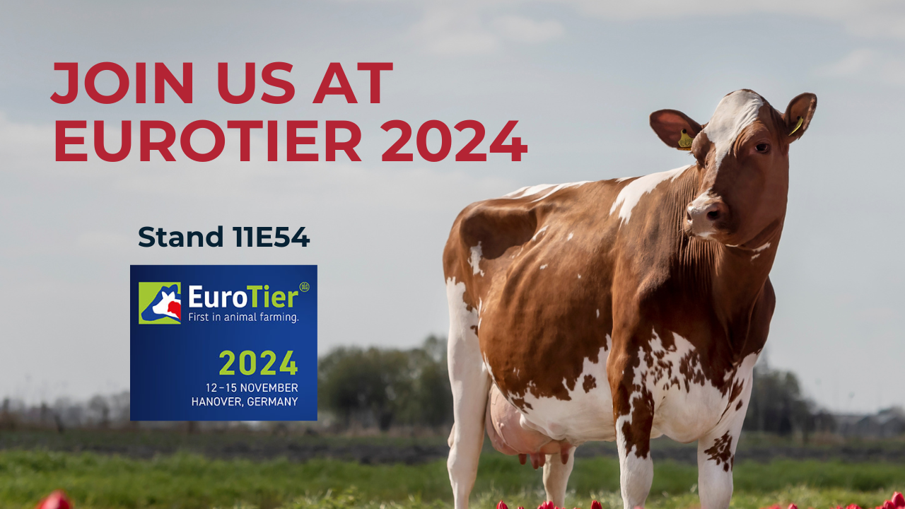 Norwegian Red Reached Remarkable Genetic Milestones in 2024 | Norwegian Red