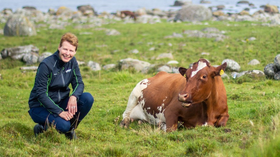 Geno's Record-High Breeding Progress Contributes to Reduced Greenhouse ...